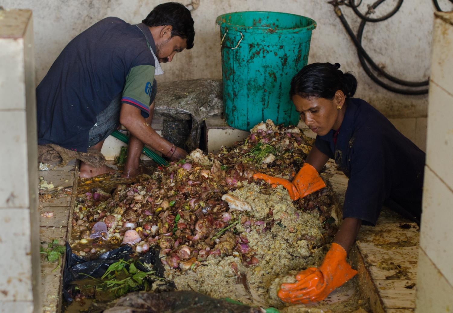 India | The Food we eat, The Food we waste | Meghanadan A S ...